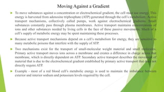 Transport across the cell membrane | PPT