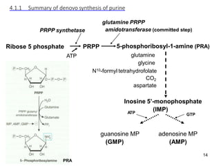 BL2- Purine Metabolism by prof unikl rcmp.pdf
