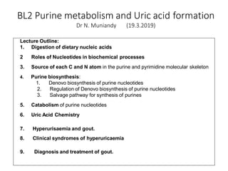 BL2- Purine Metabolism by prof unikl rcmp.pdf