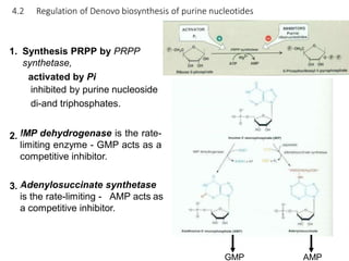 BL2- Purine Metabolism by prof unikl rcmp.pdf