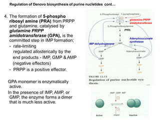 BL2- Purine Metabolism by prof unikl rcmp.pdf