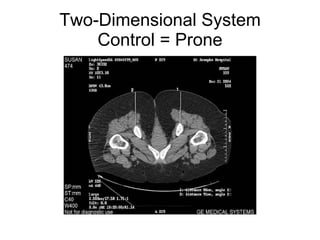 Dolphin System Selling Points | DOC