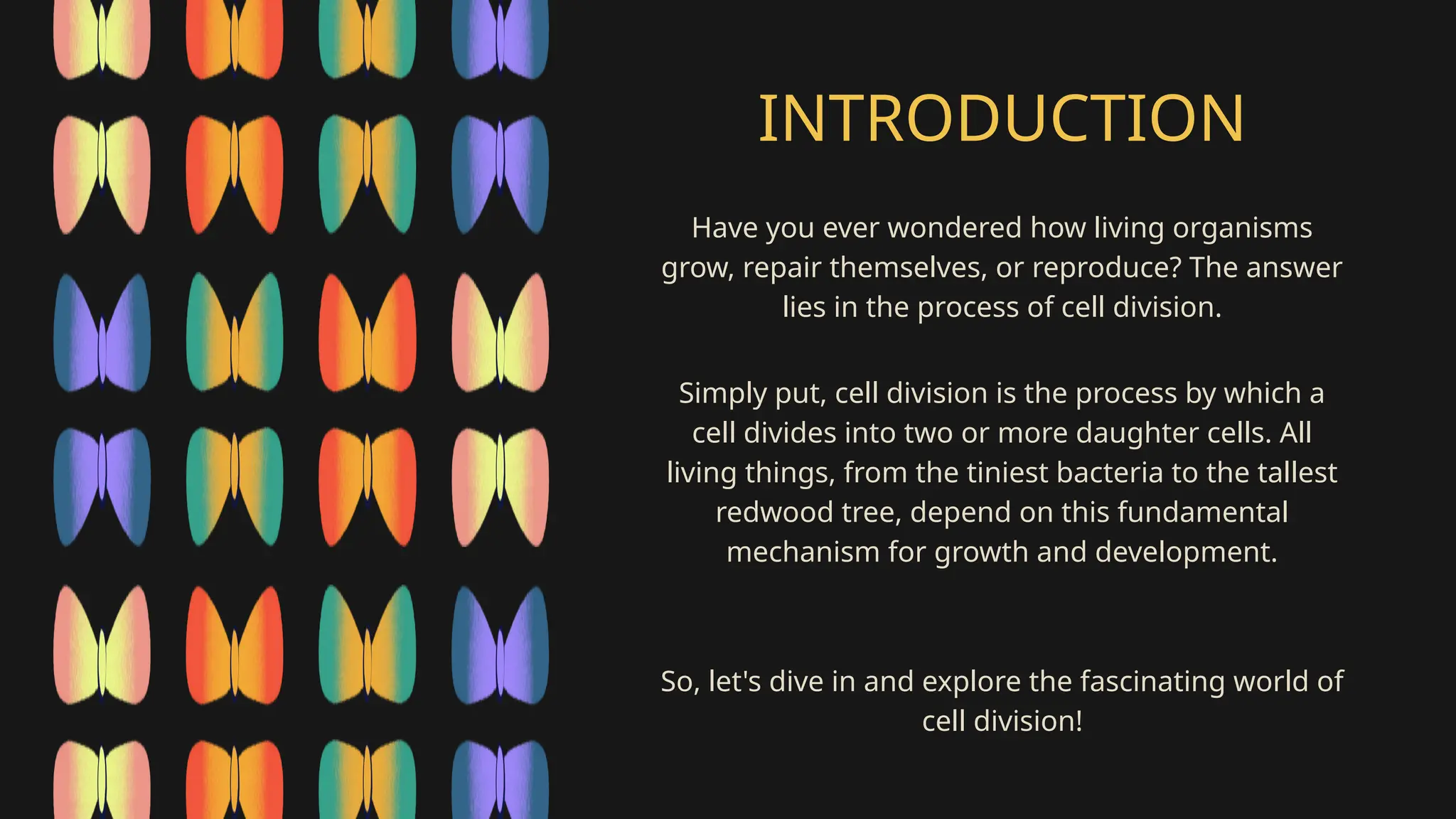 Black-and-Yellow-Illustrative-Science-Stages-of-Mitosis-Presentation.pptx