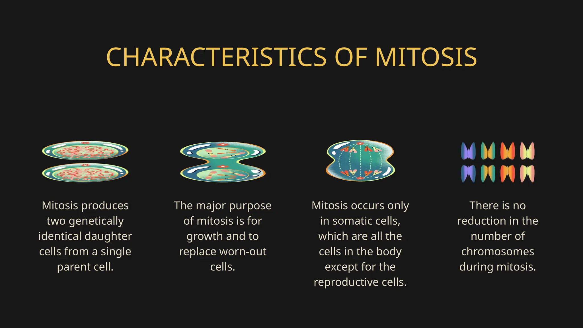 Black-and-Yellow-Illustrative-Science-Stages-of-Mitosis-Presentation.pptx