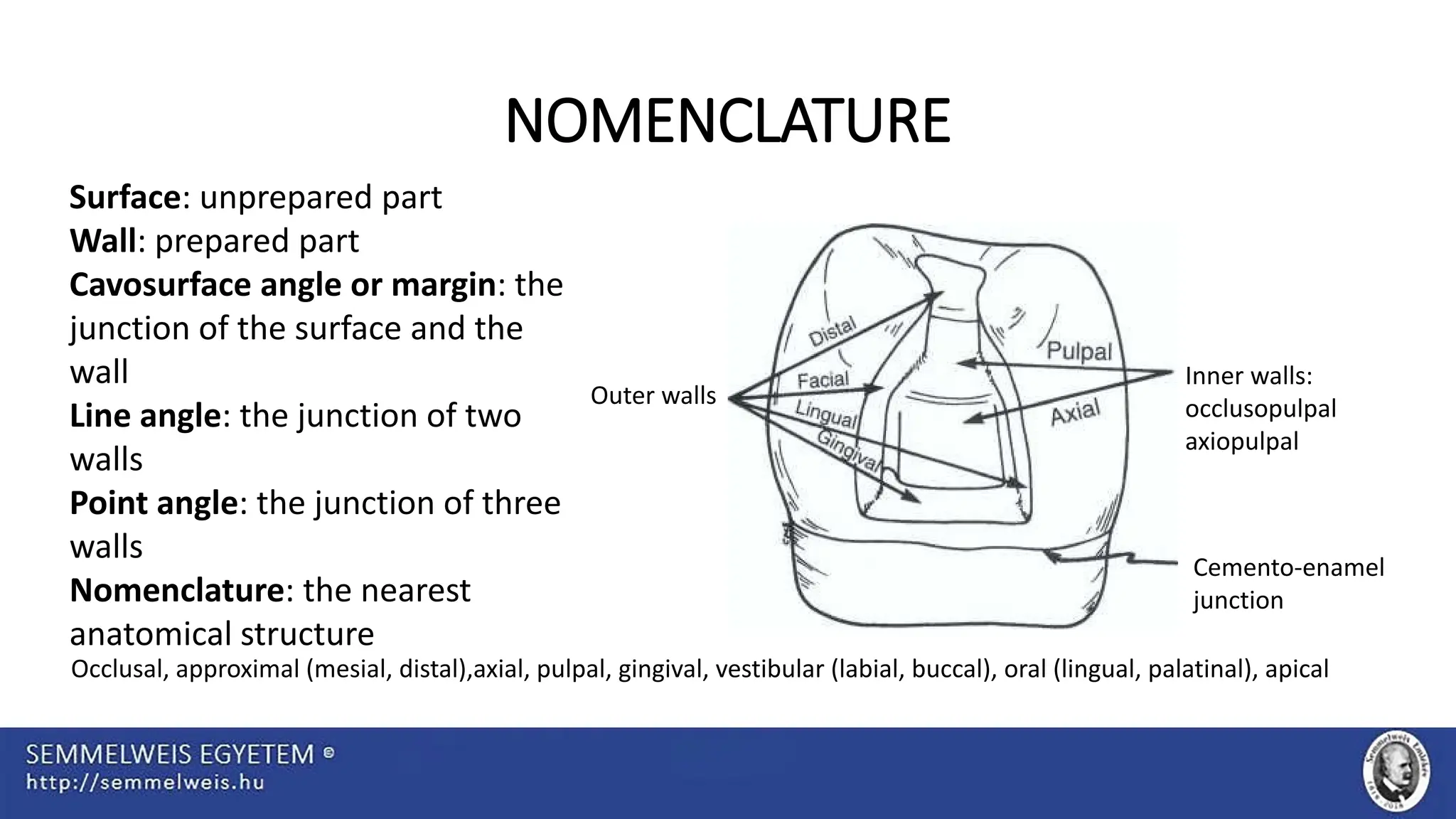 Blacks cavity classification for pit and fissure caries.pdf