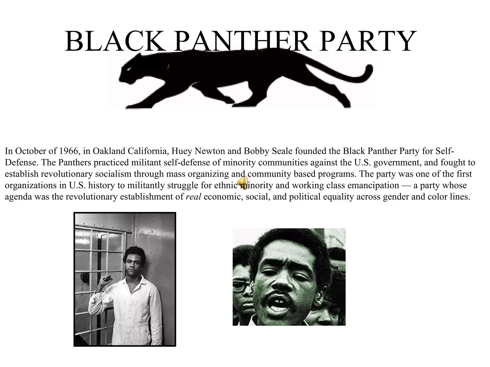 Black Panthers | PPT