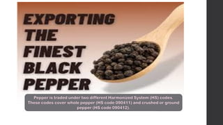 Black pepper | PDF