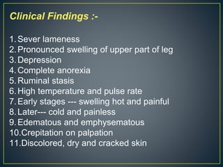 Black quarter -vpm | PPTX