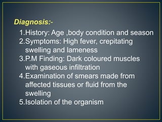 Black quarter -vpm | PPTX