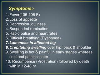 Black quarter -vpm | PPTX