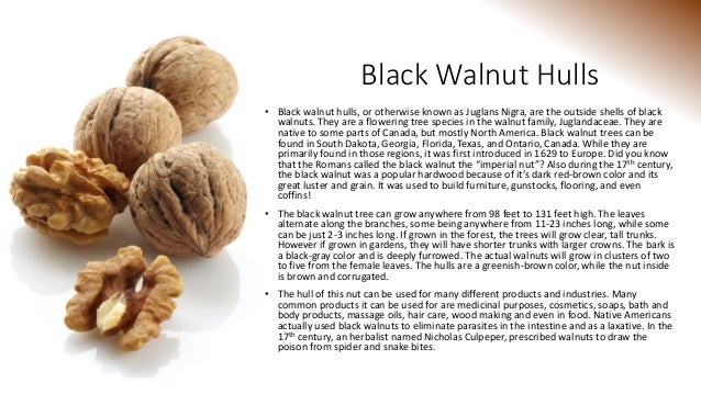 Black walnut-hulls-class