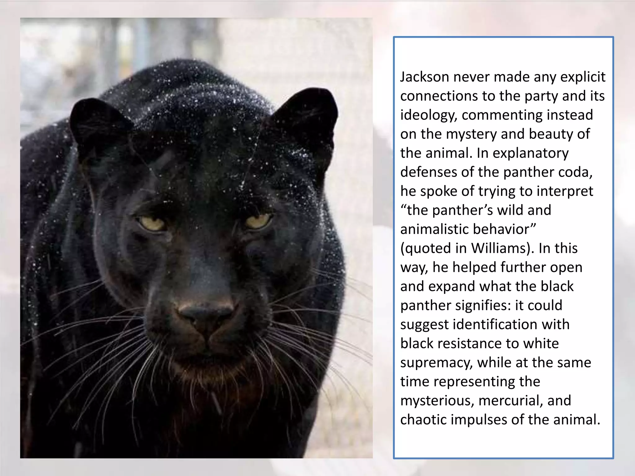 Michael Jackson - Black or White analysis | PPTX