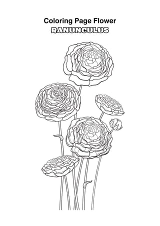 Black and White Illustrated Flower Coloring Page | PDF