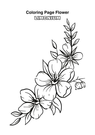 Black and White Illustrated Flower Coloring Page | PDF