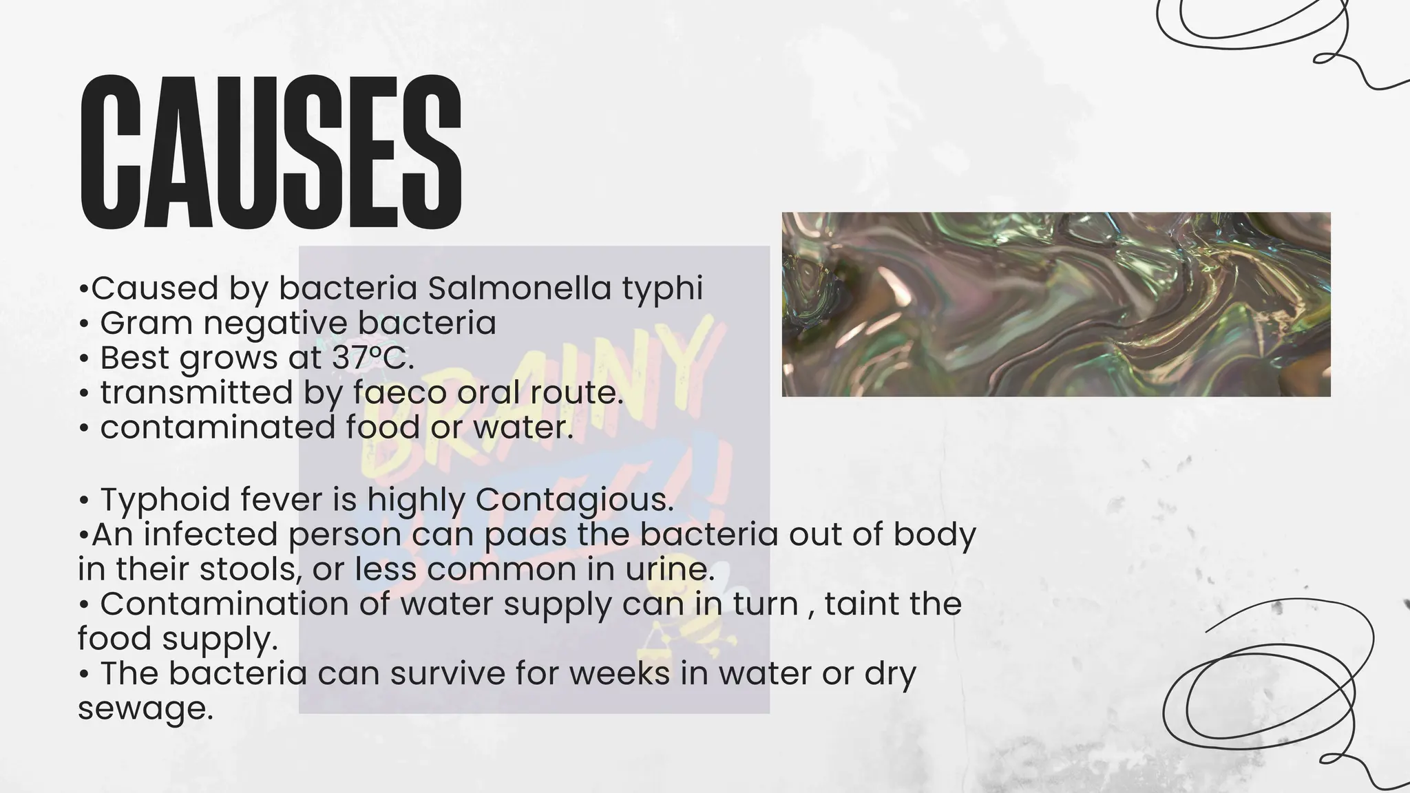 Let's understand , typhoid fever!!!!!!!! | PDF