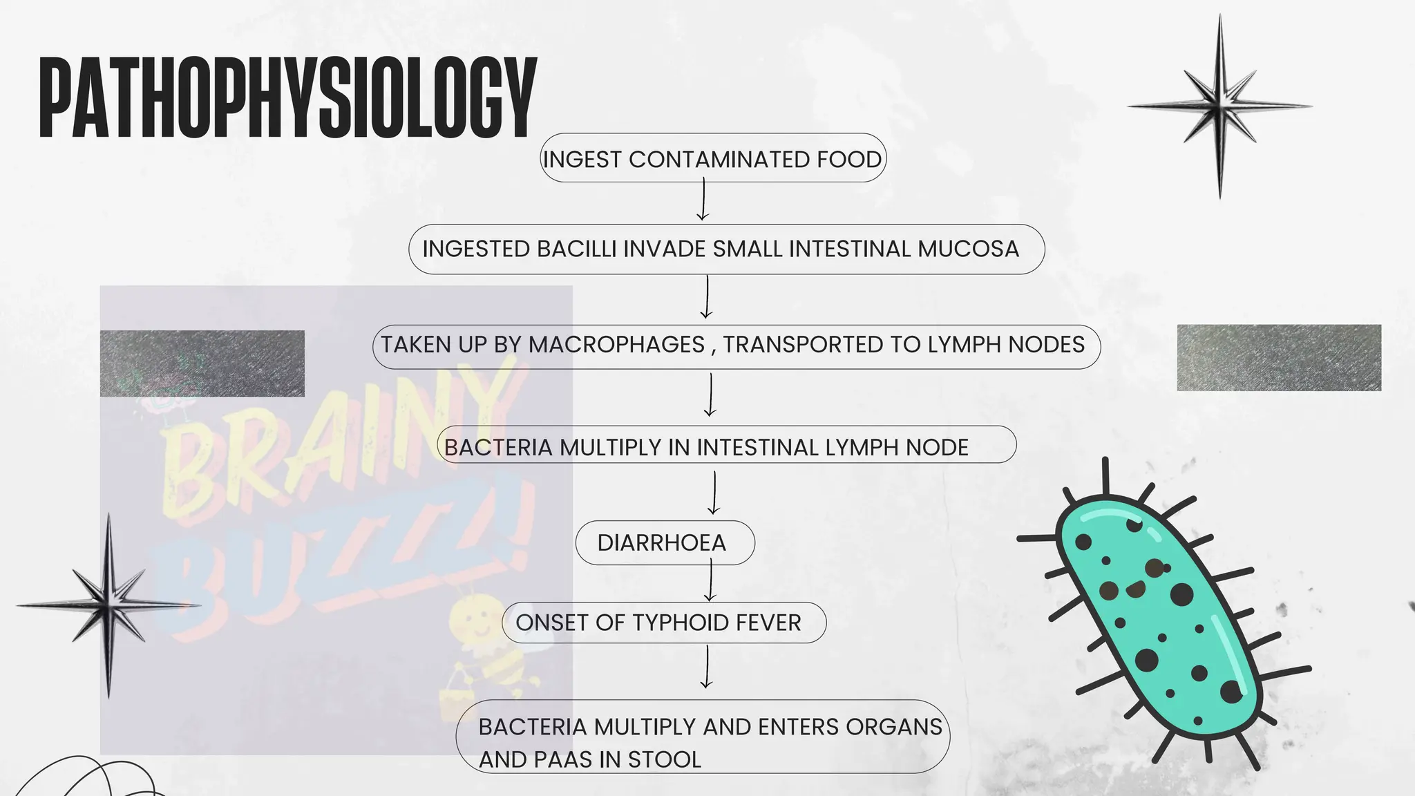 Let's understand , typhoid fever!!!!!!!! | PDF