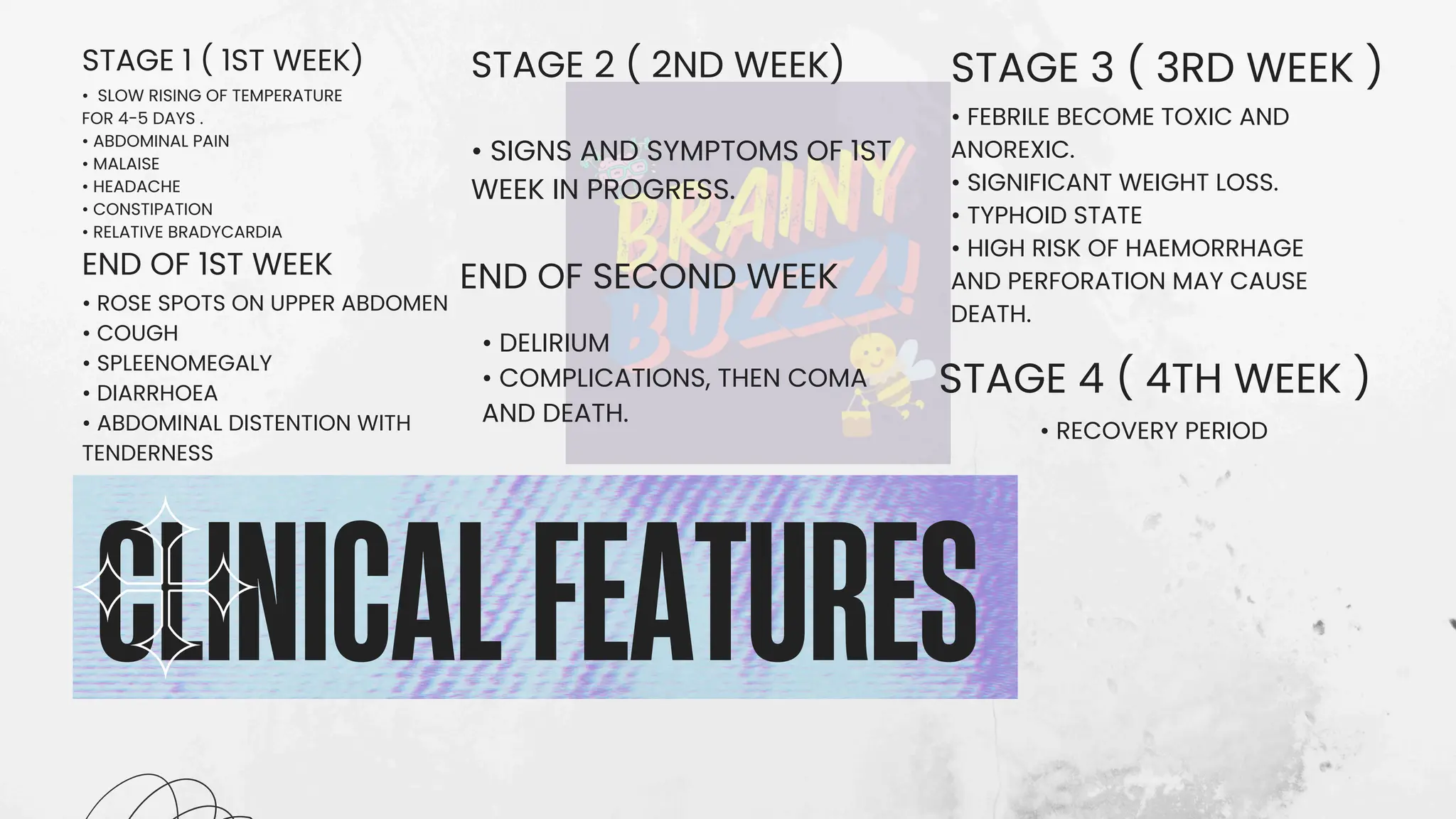 Let's understand , typhoid fever!!!!!!!! | PDF