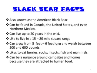 Black bears, and brown bears, and | PPS