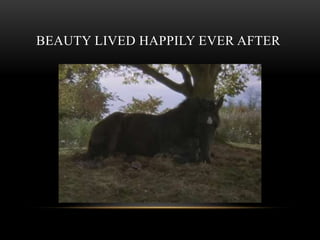 Black beauty p | PPT