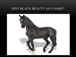 Black beauty p | PPT