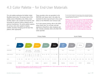 Black Berry Brand Manual | PDF
