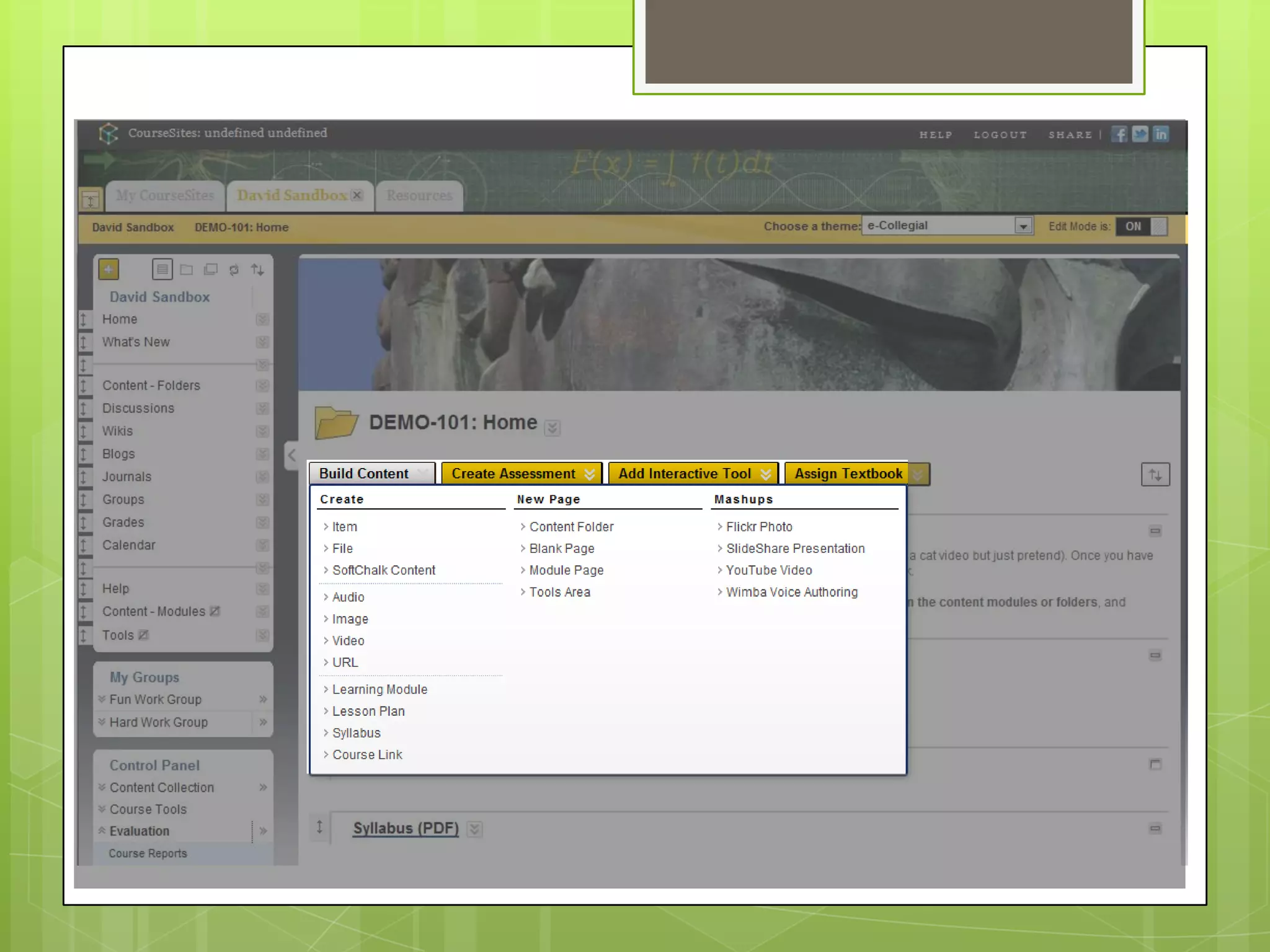 Blackboard areas | PPTX