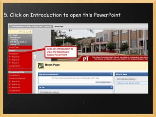 Blackboard Basics | PPT | Education