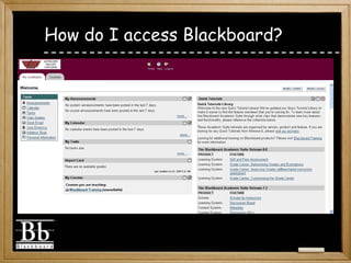 Blackboard Basics | PPT | Educational Assessment | Education