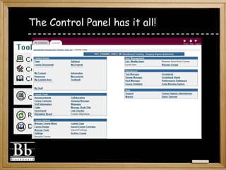 Blackboard Basics | PPT | Educational Assessment | Education
