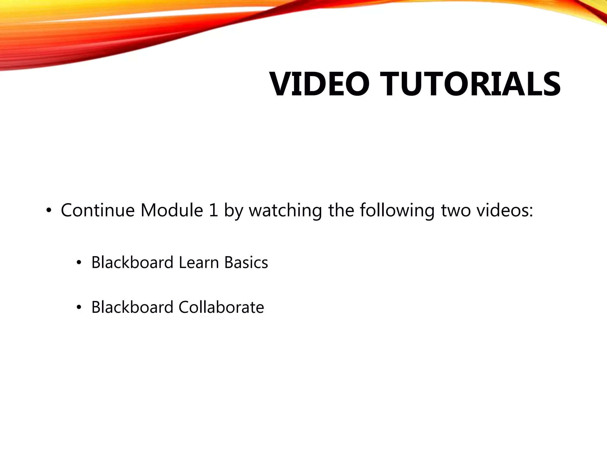Blackboard basics mod 1 | PPT
