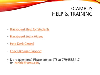 Blackboard basics mod 1(1)(1) | PPT