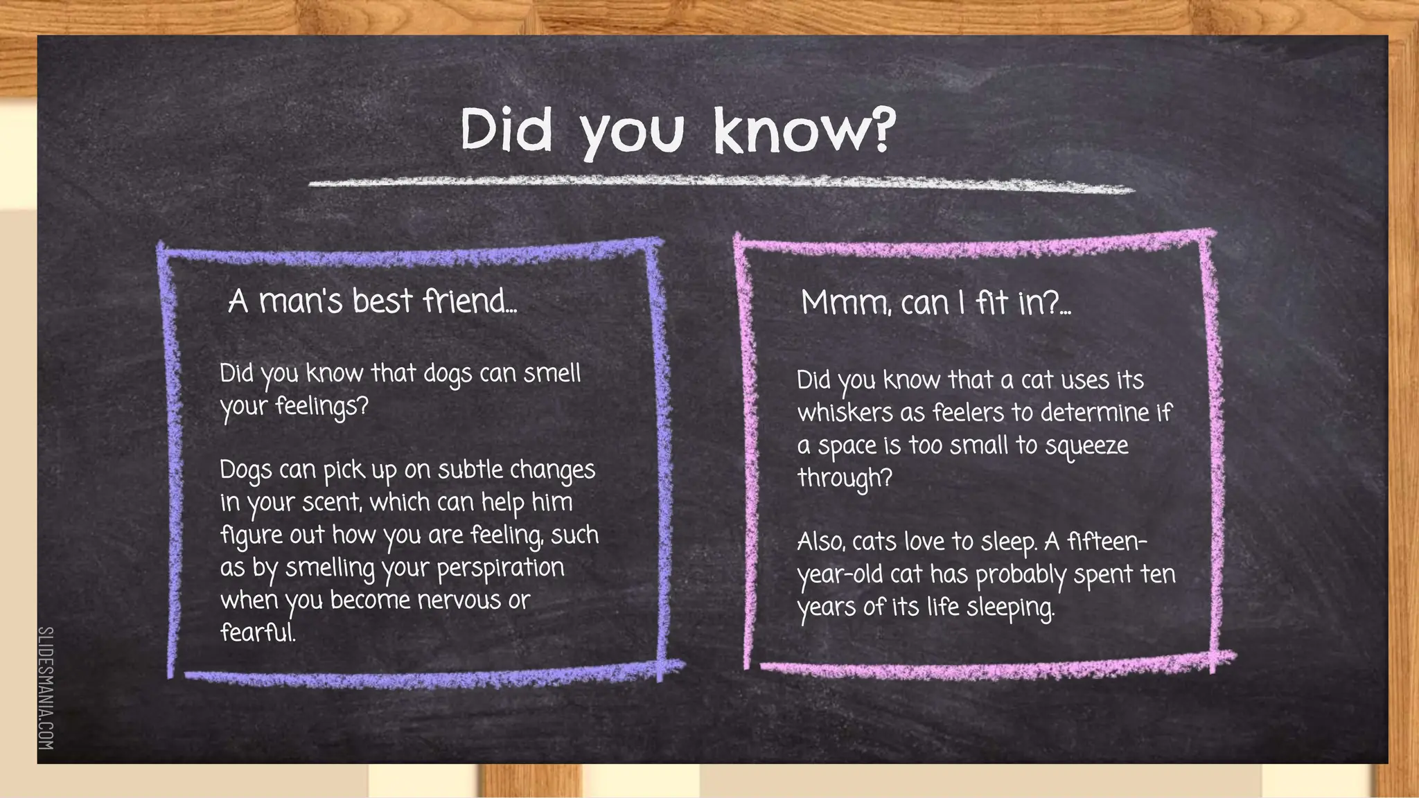 Blackboard · SlidesMania.pptx kebutuhan dalam pembuatan presentasi | PPTX