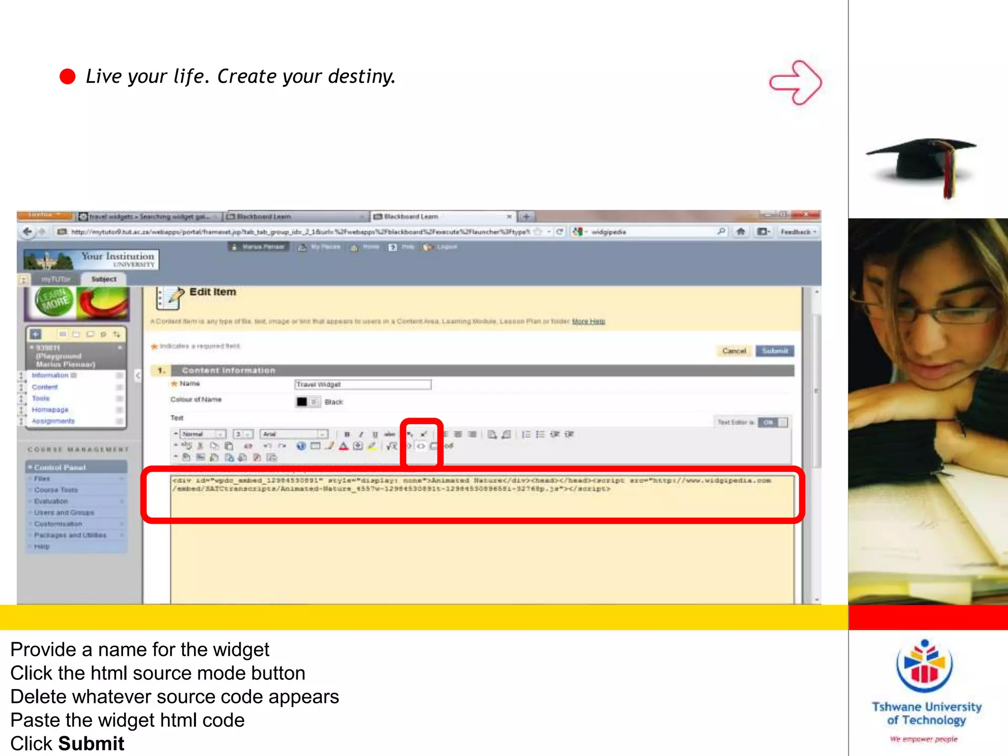 Blackboard training - Embedding a widget | PPT