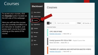 Blackboard albizu store