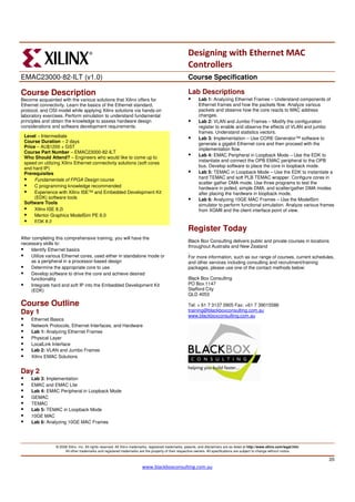 Black Box Consulting 2009 Brochure | PDF