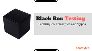 Black Box Testing | PDF