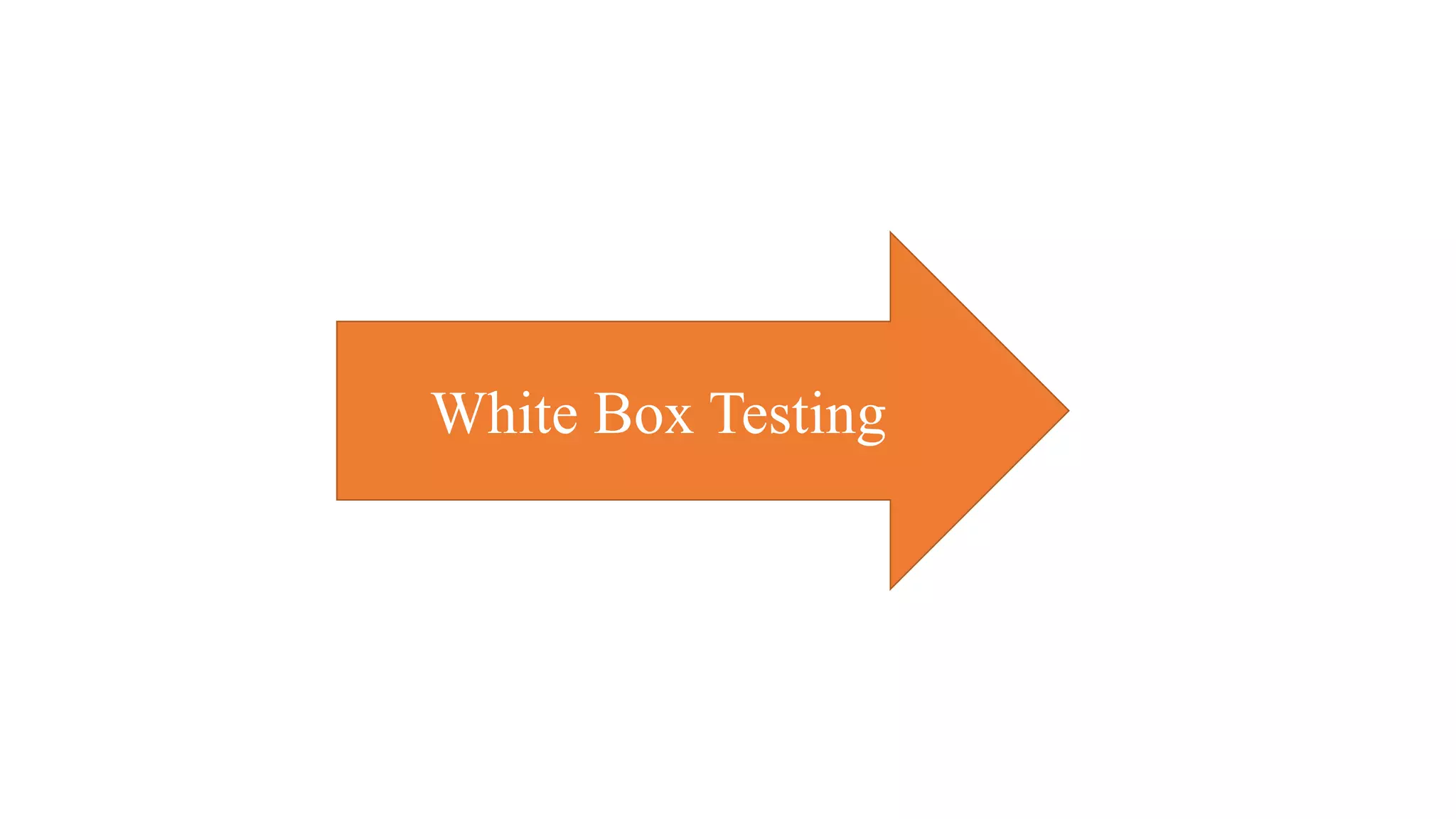 BLACK BOX & WHITE BOX TESTING.pptx