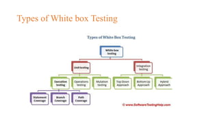 BLACK BOX & WHITE BOX TESTING.pptx