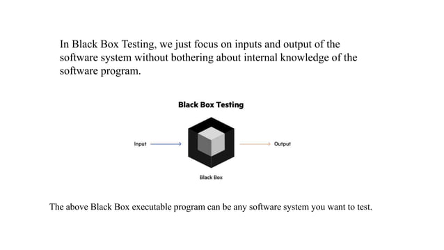 BLACK BOX & WHITE BOX TESTING.pptx