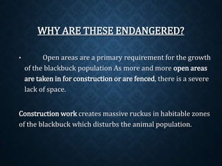 Blackbuck | PPTX
