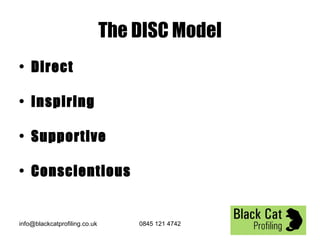 Black Cat Disc | PPT