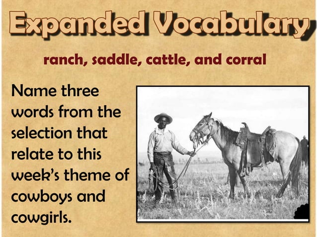 Black Cowboy Wild Horses | ZIP