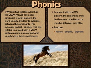 Black Cowboy Wild Horses | ZIP