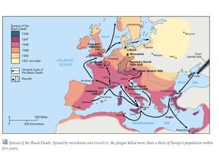 Black death | PPT
