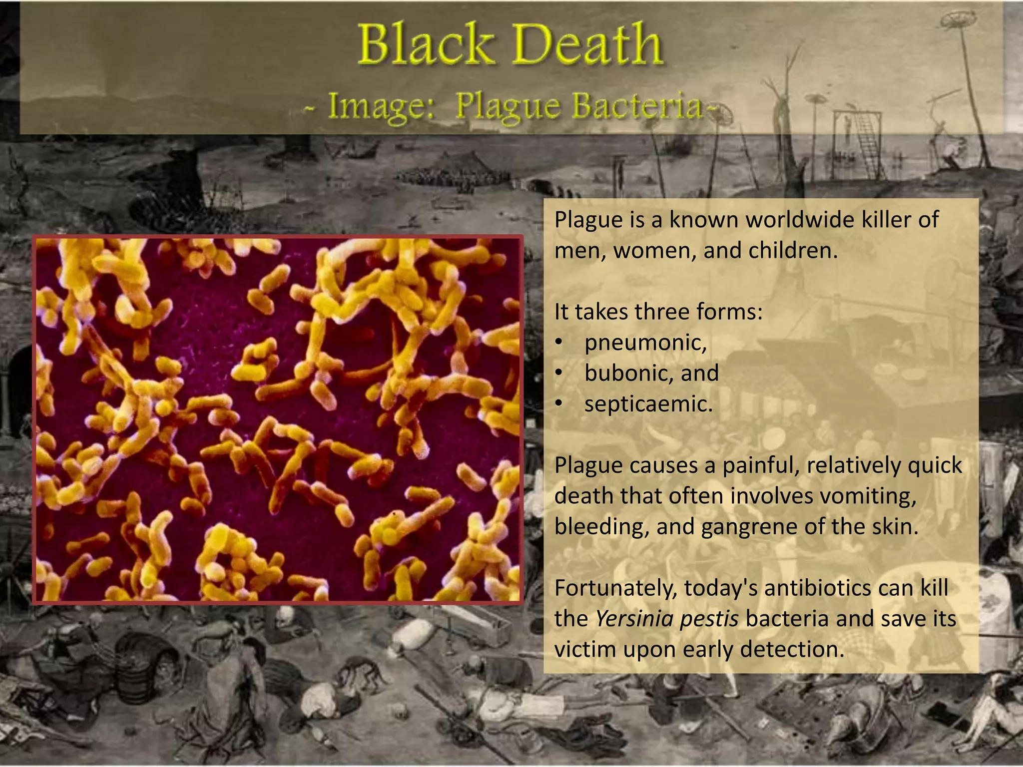PowerPoint: Medieval Life: The Black Death - Bubonic Plague - Black ...