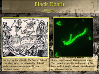 Dance Of Death Bubonic Plague