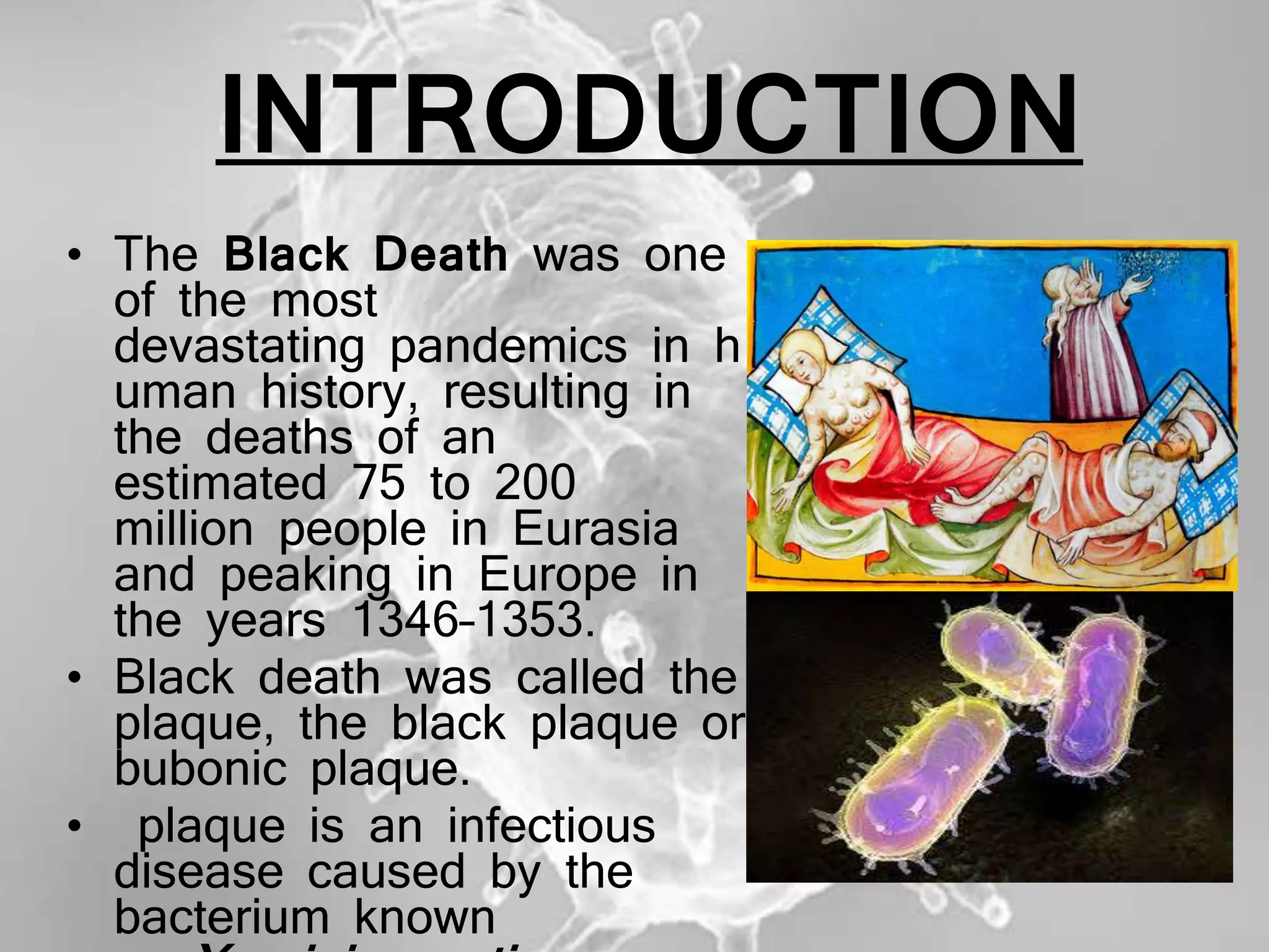 Black death | PPT