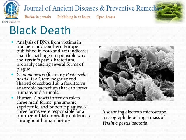 The Black death - a re-emerging infectious disease