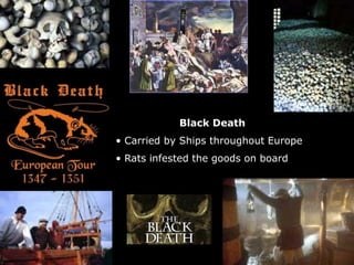 BlackDeath_002.ppt | Infectious Diseases | Diseases and Conditions