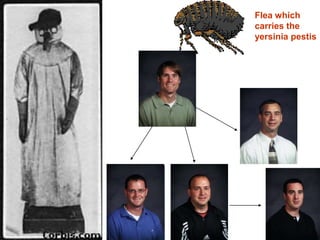 BlackDeath_002.ppt | Infectious Diseases | Diseases and Conditions